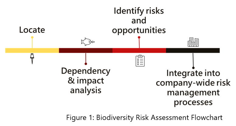 Assessment of Risks and Opportunities (TNFD) | Compal ESG
